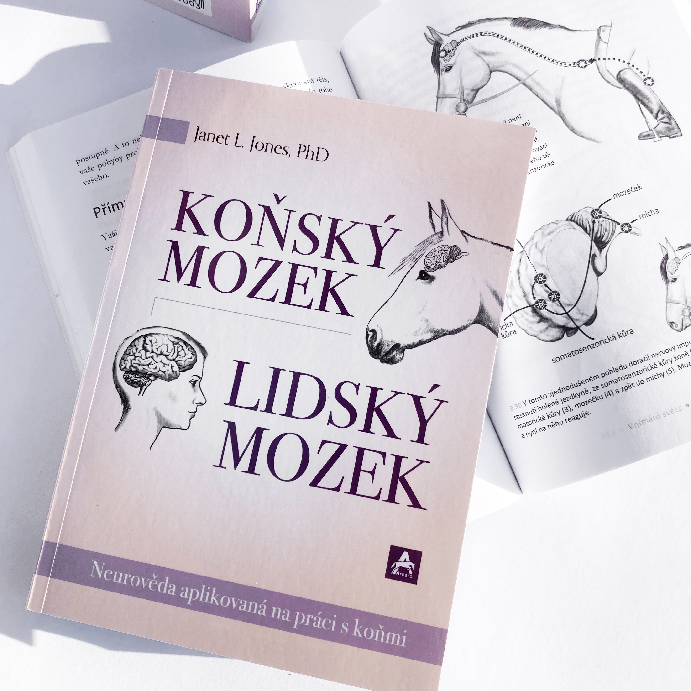 Když není mozek jako mozek - Koňskéknihy.cz